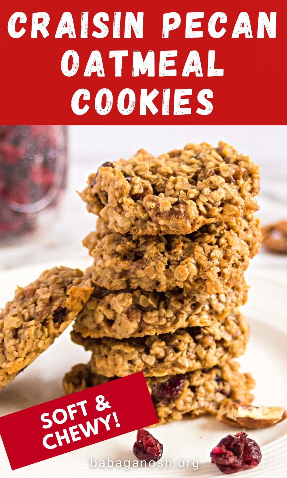 Perfect Oatmeal Craisin Pecan Cookies | Babaganosh