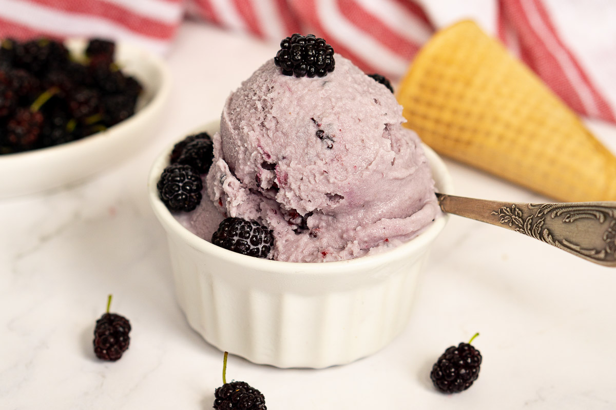 Easy Mulberry Ice Cream | Babaganosh