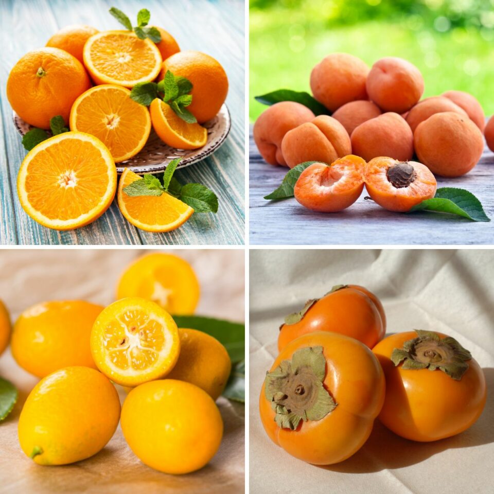 35 Orange Foods With Recipes—Have You Tried Them All? | Babaganosh