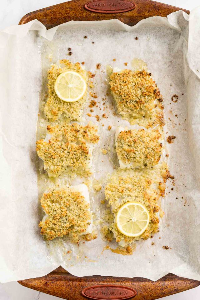 Cod Oreganata - 20 Minute Dinner | Babaganosh