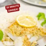 Cod Oreganata - 20 Minute Dinner | Babaganosh