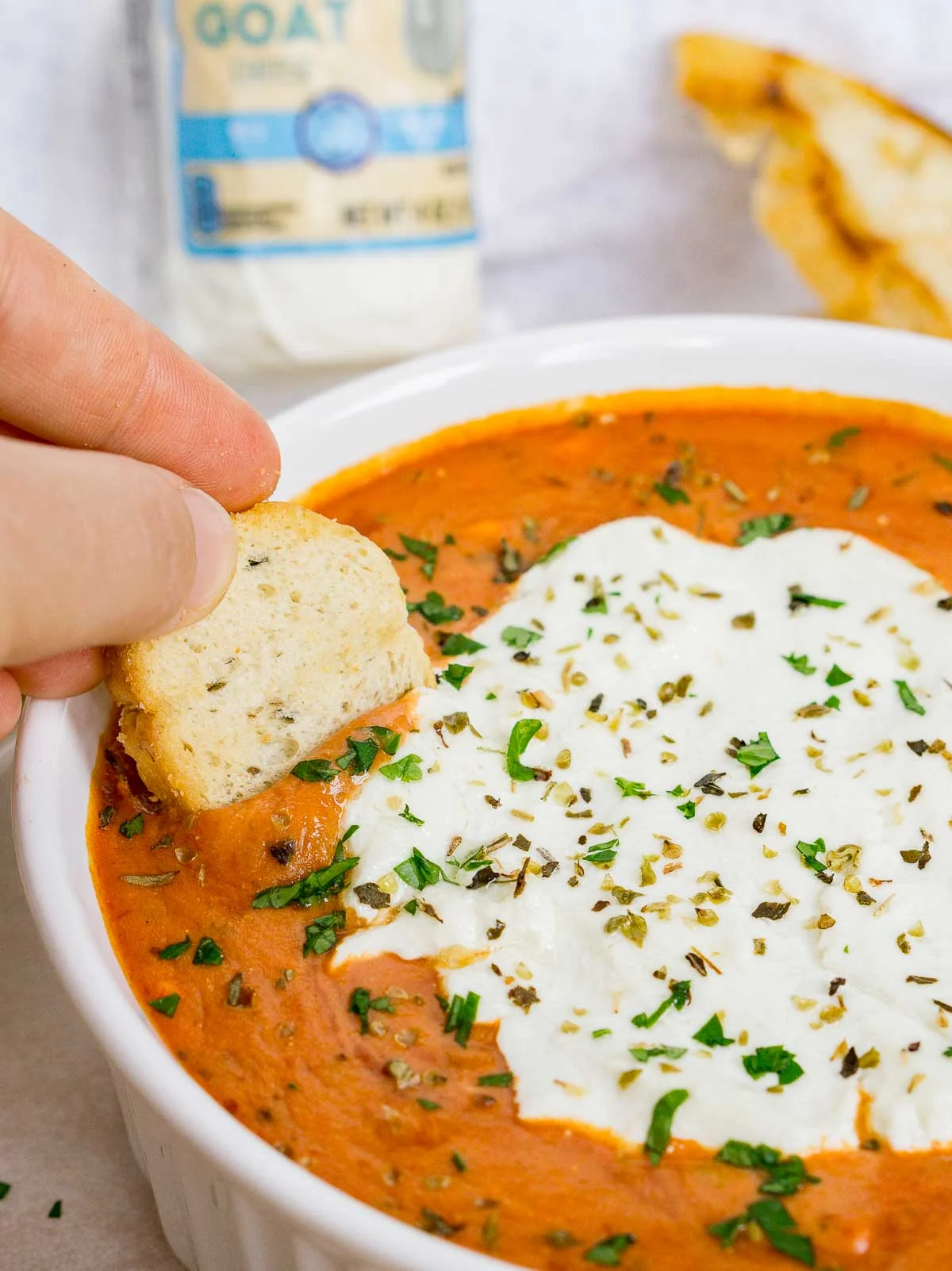 Goat Cheese Marinara Dip Babaganosh